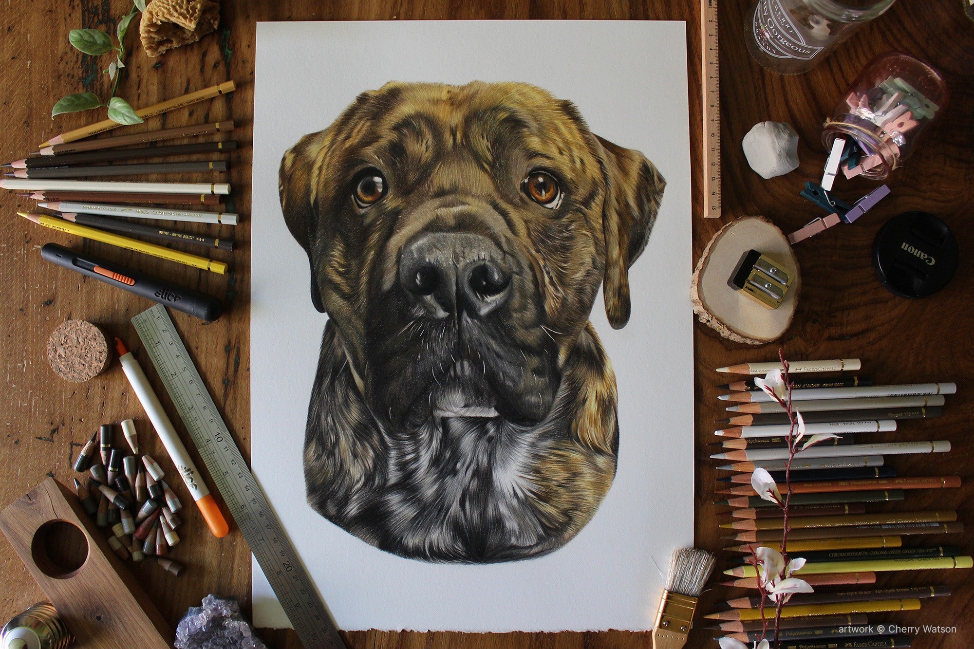 Tools for Colored Pencil Art – Slice